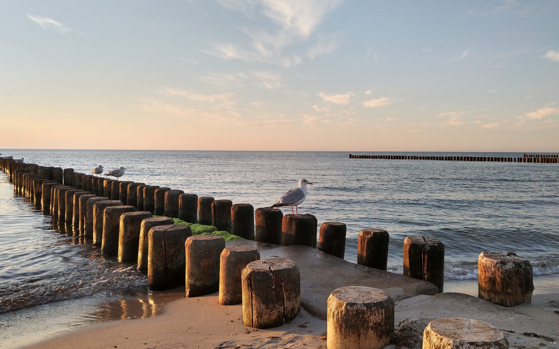 Ahrenshoop | mare-domus